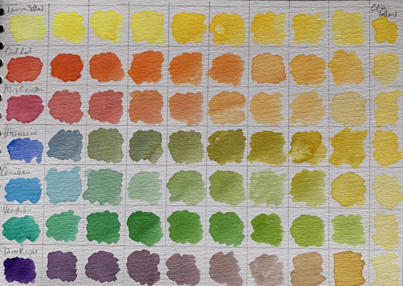 Fun With Colour – Dartmoor Dyeing – Felting and Fiber Studio