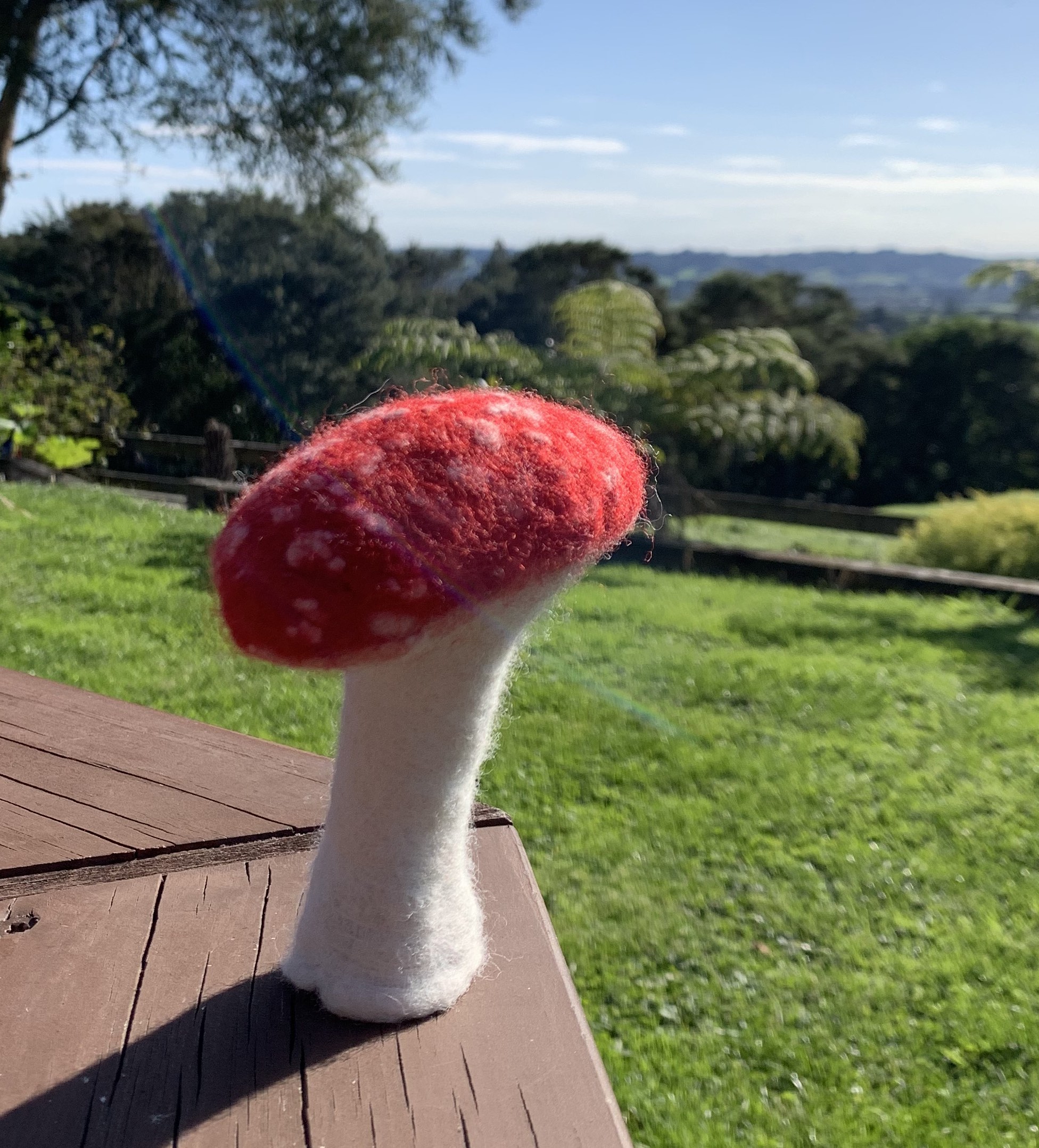 Game of Shrooms – Finders Keepers!! | Teri Berry Textiles